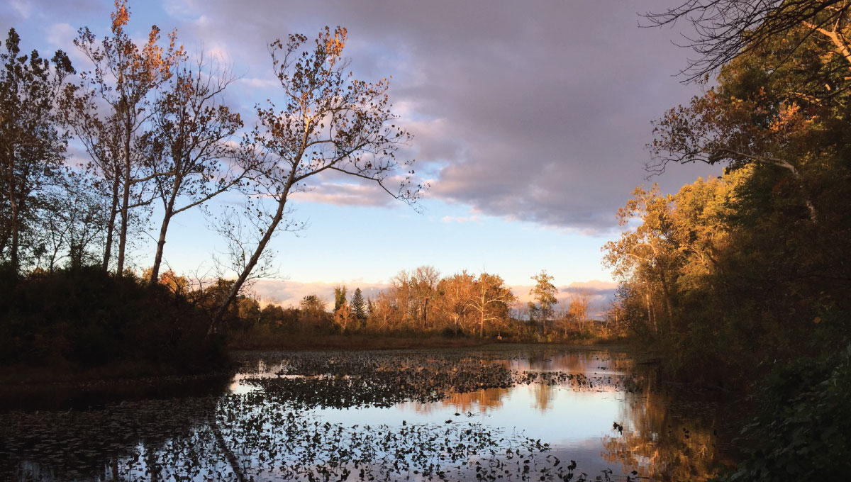 Permanence at Hanover above the Ohio - Indiana Humanities
